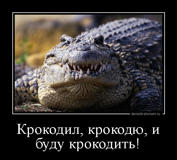 Демотиватор Крокодил, крокодю, и буду крокодить!